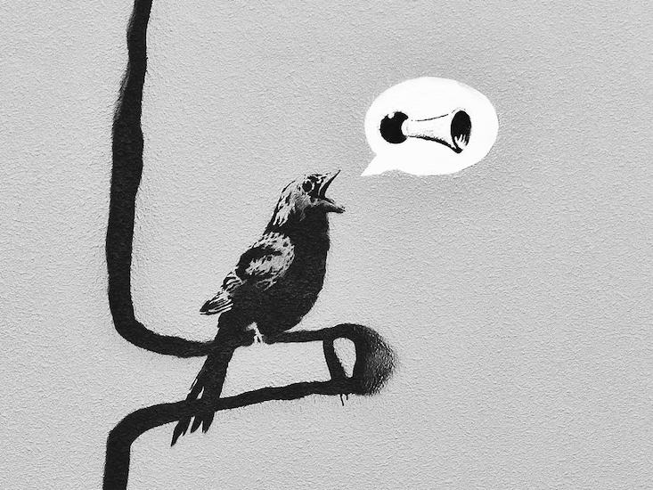 The Sacred Beauty of a Hermit Thrush Call - Nautilus