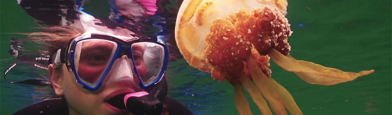 Spark of Science: Lisa Becking - Nautilus