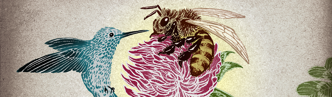 Evolution in a Finite World - Nautilus