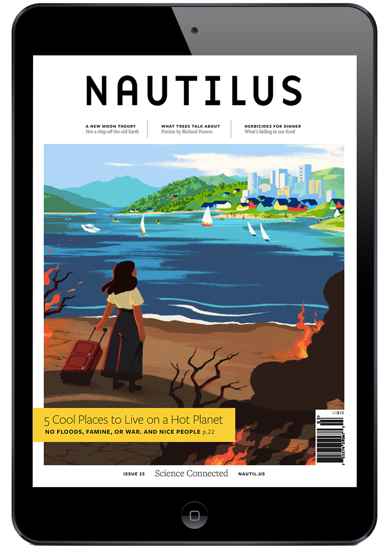 Print Edition 25 - Nautilus