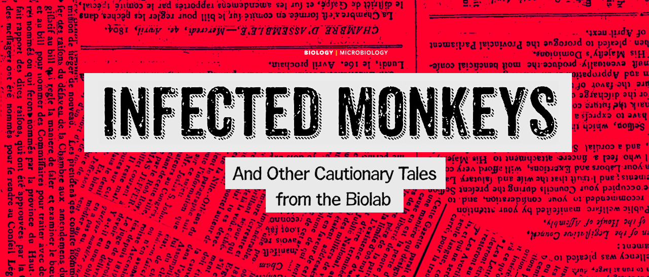 Infected Monkeys and Other Cautionary Tales From the Biolab - Nautilus