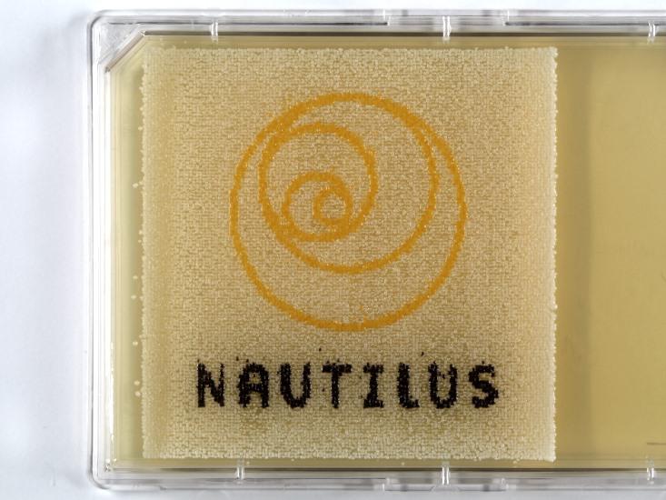 How Can Microscopic Yeast Draw the Nautilus Logo? The New Art of Bio ...