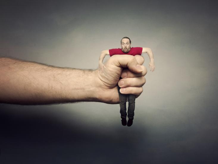 The Case for Making Humans Smaller - Nautilus