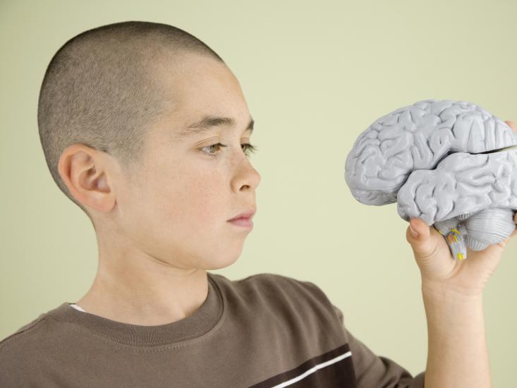 How Poverty Changes Kids’ Brains - Nautilus