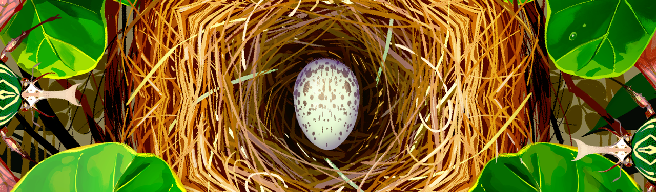 Beauty Is Physics’ Secret Weapon - Nautilus