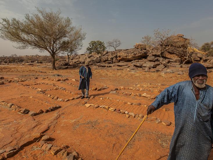 The Secret of Our Evolutionary Success Is Faith - Nautilus