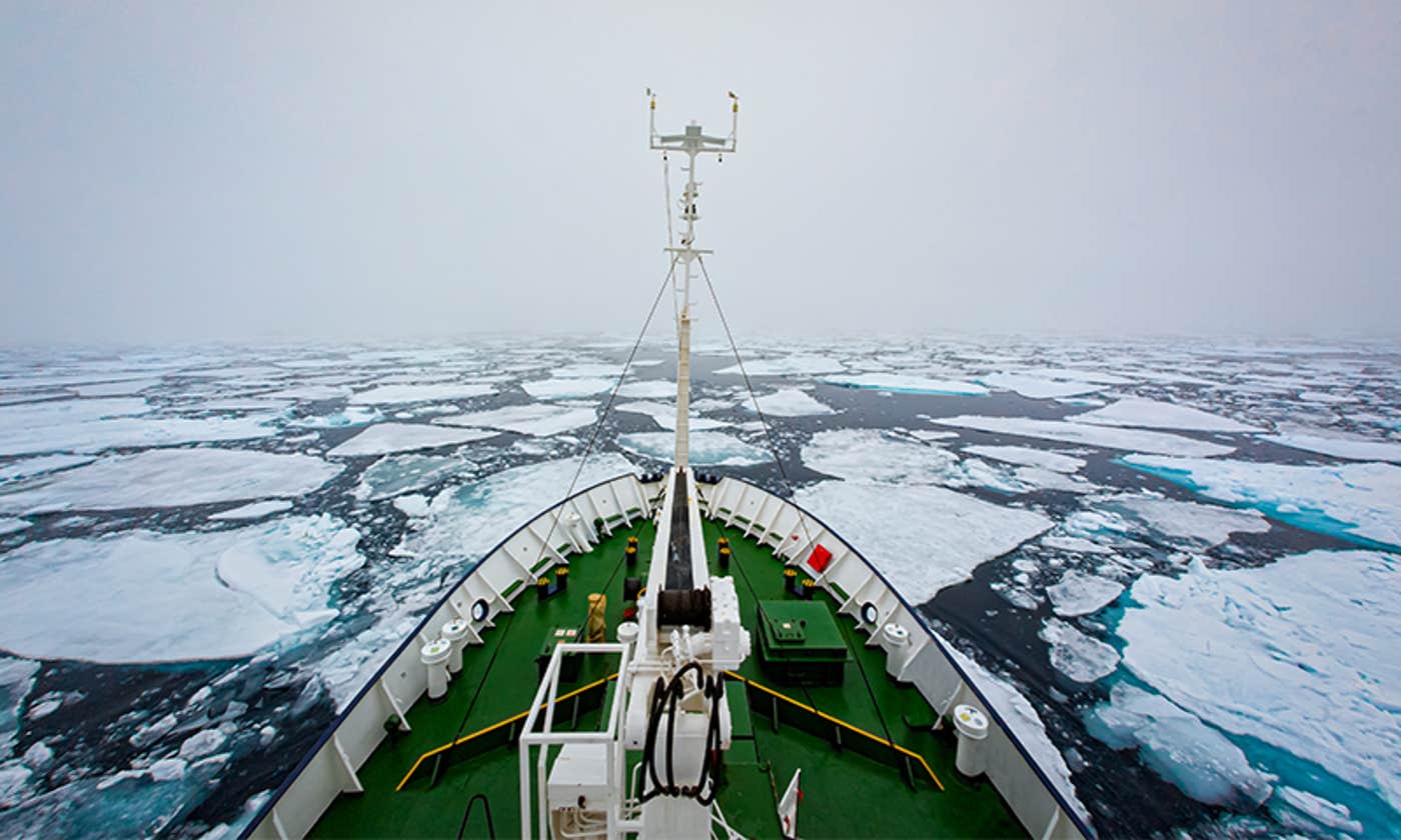 Andrea Pitzer, Author at Nautilus