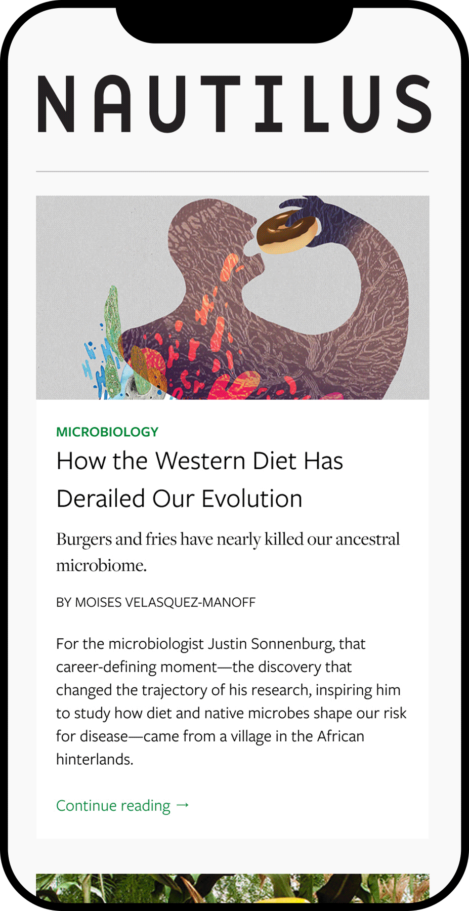 Newsletter - Nautilus | Science Connected