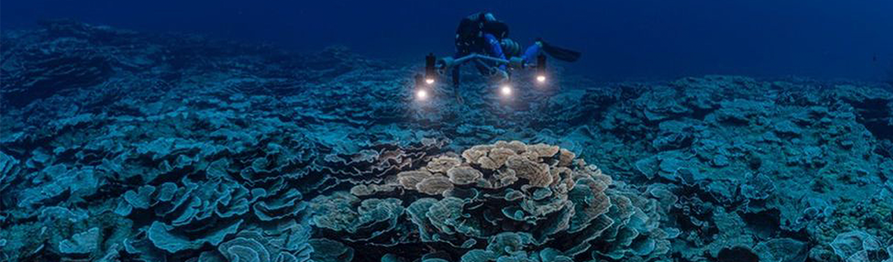 Who Are the Scientists Here? - Nautilus
