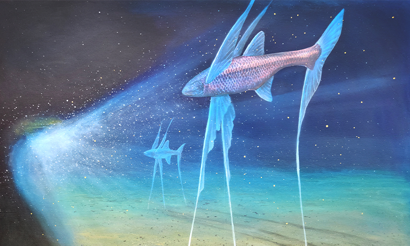 Painter Carlos Hiller Depicts Tripod Fish, Baby Octopuses, and Other ...