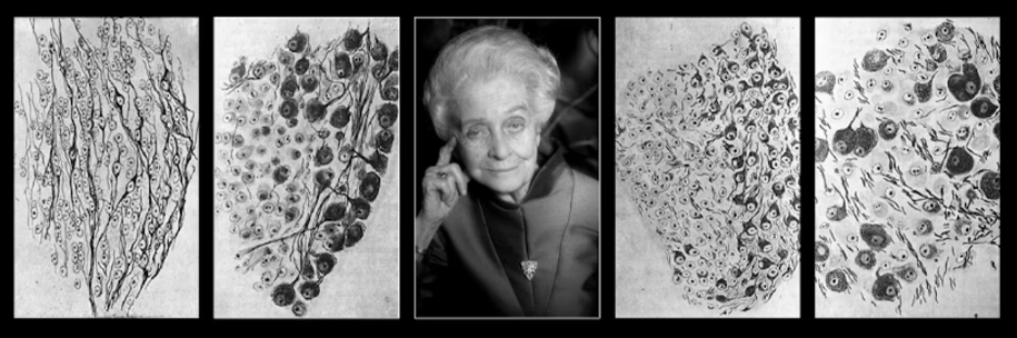 A Lab of Her Own - Nautilus