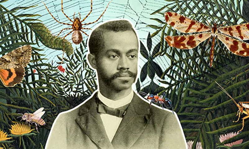Charles Henry Turner’s Insights Into Animal Behavior Were a Century ...