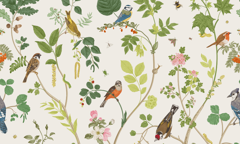 All Birds Roost in a Single Tree - Nautilus
