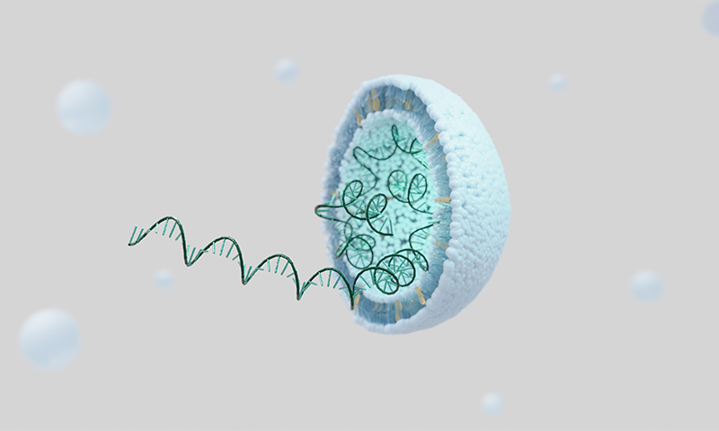 How mRNA Vaccines Work and What New Funding Cuts Mean