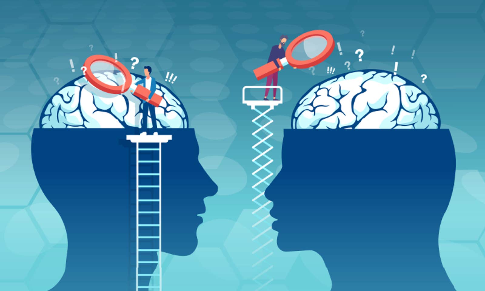 No Two Human Brains Are Alike - Nautilus