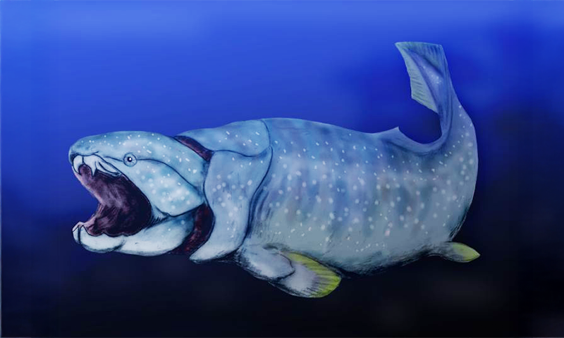 An Ancient, Armored Sea Monster