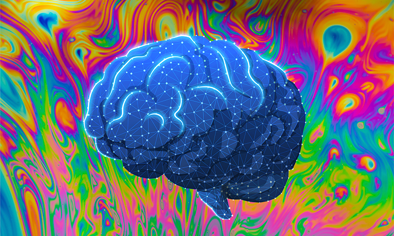 What Happens to My Brain on the Psychedelic DMT? - Nautilus