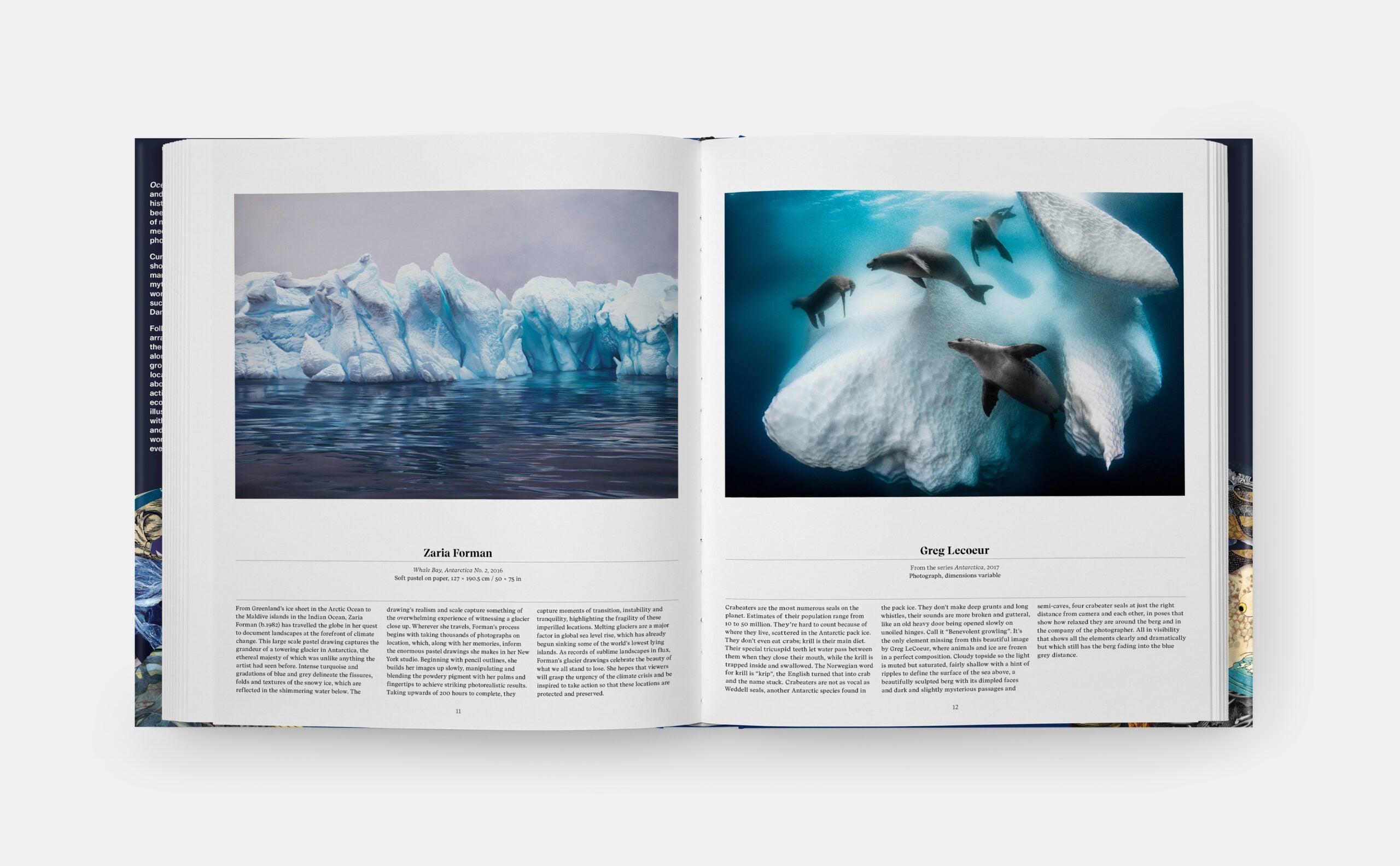 Holiday Ocean Bundle - Nautilus